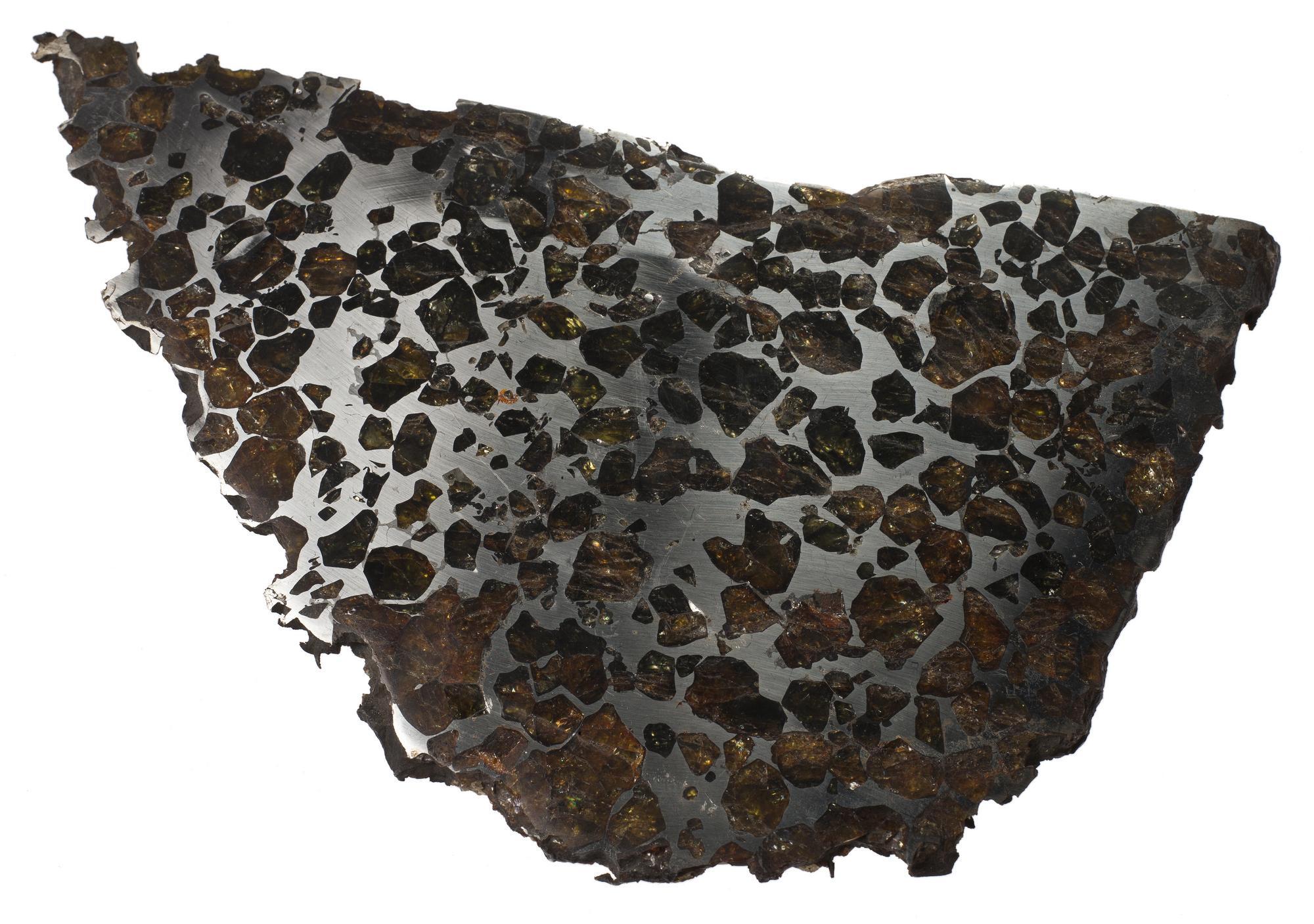 Esquel Meteorite